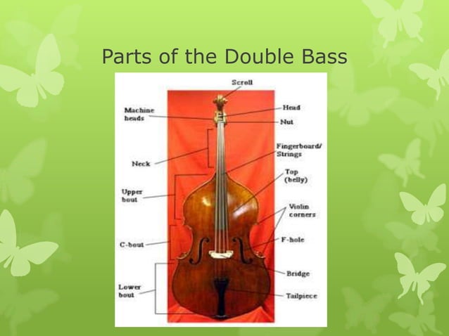 Stringed instruments micro teaching powerpoint | PPTX
