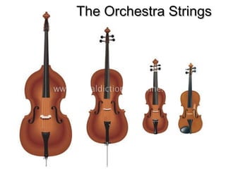 String family | PPT