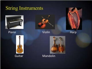 Types Of Stringed Instruments
