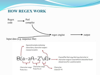 Strings,patterns and regular expressions in perl | PPT