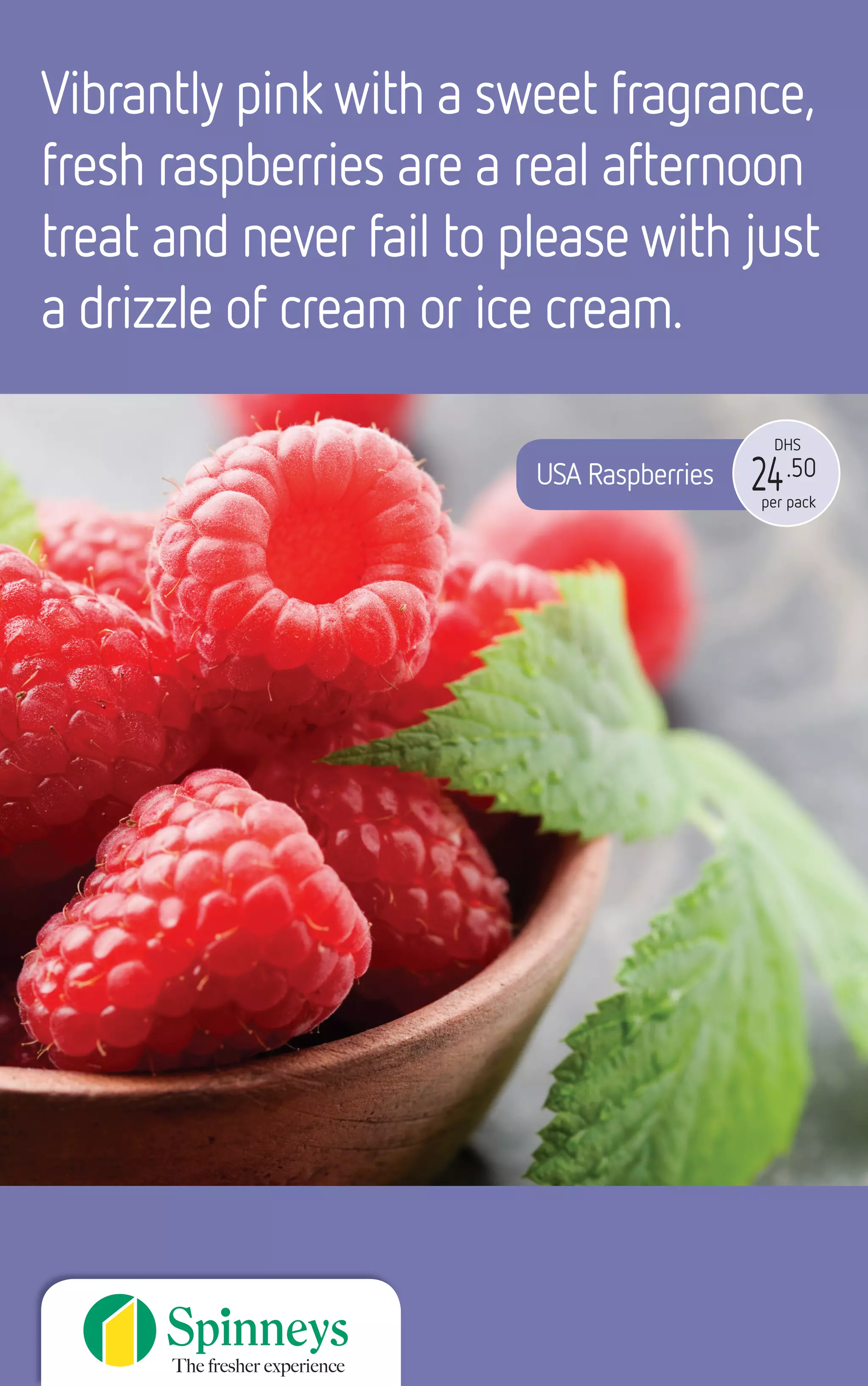 Gulf News - Strip ad | PDF