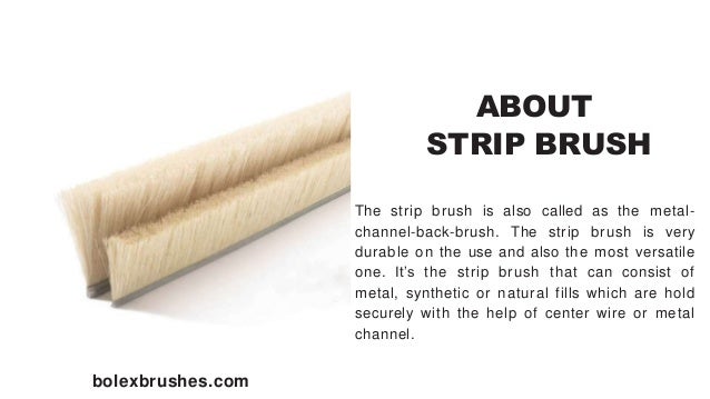 Strip Brush | PPTX