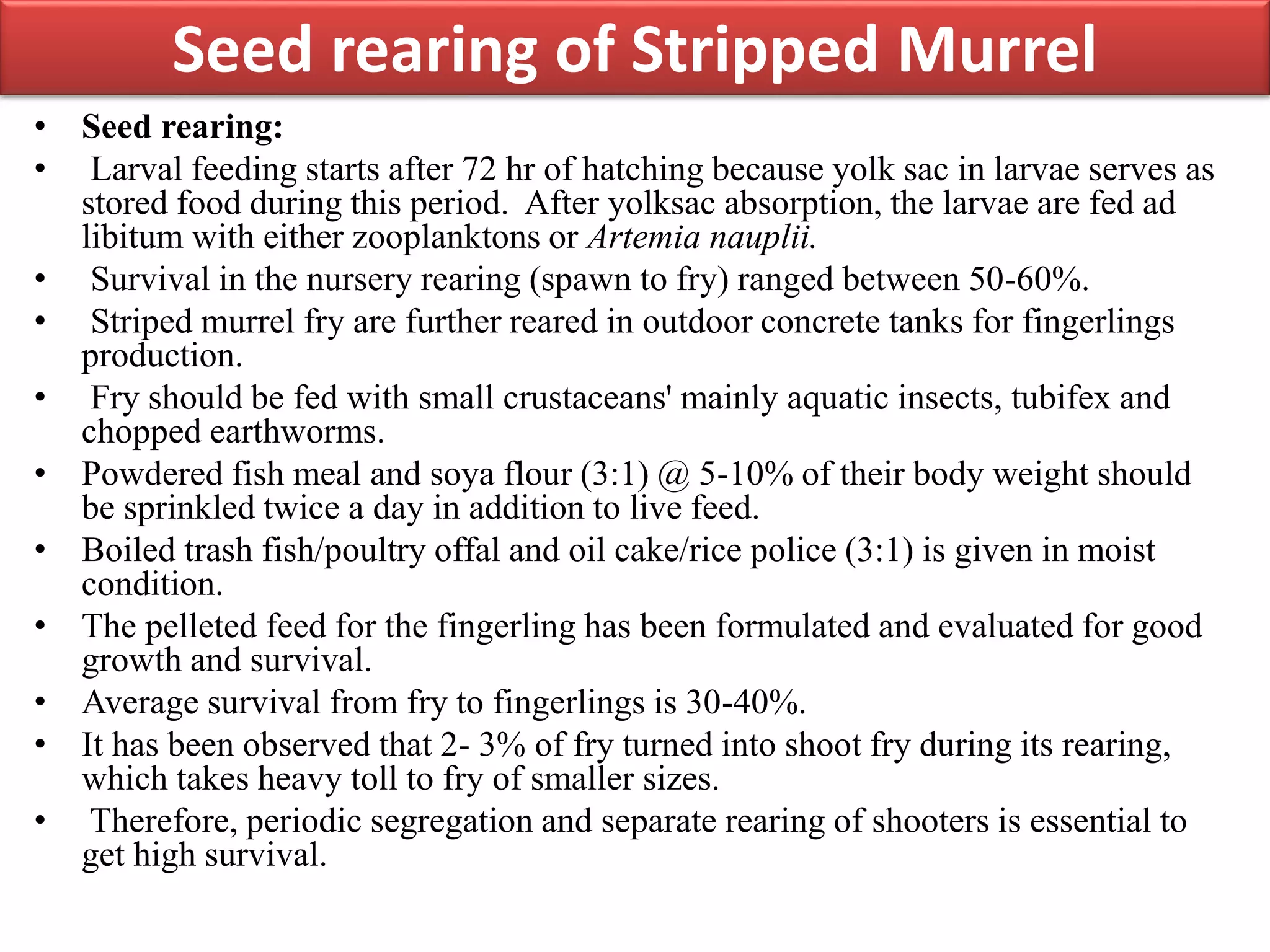 Strippped murrel seed production & rearing | PPTX