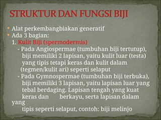 STRUKTUR DAN FUNGSI JARINGAN MELIPUTI AKAR, BATANG, DAUN, BUNGA, BUAH ...