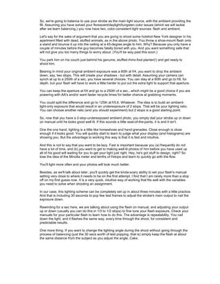 Strobist lighting 101 david hobby | PDF