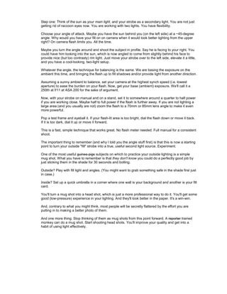 Strobist lighting 101 david hobby | PDF