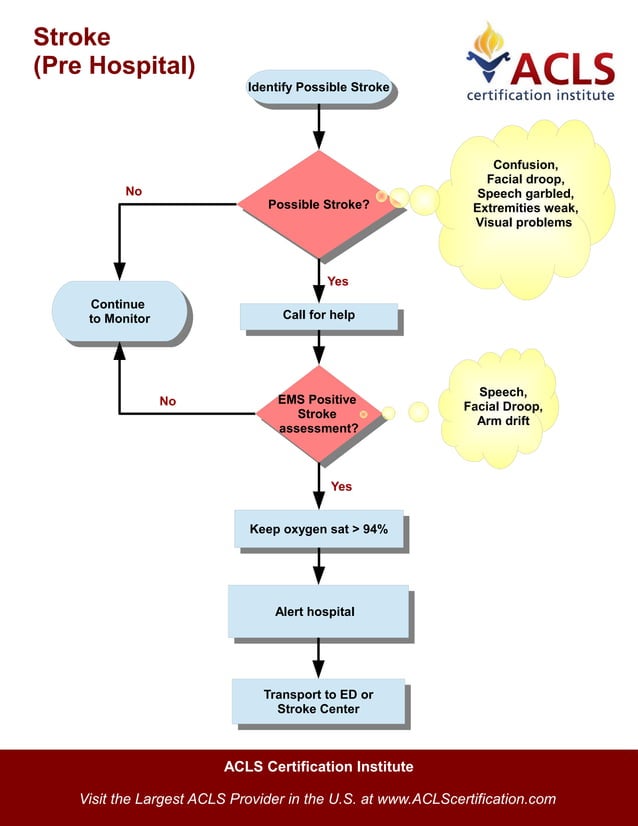 Adult Suspected Stroke Algorithm | PDF