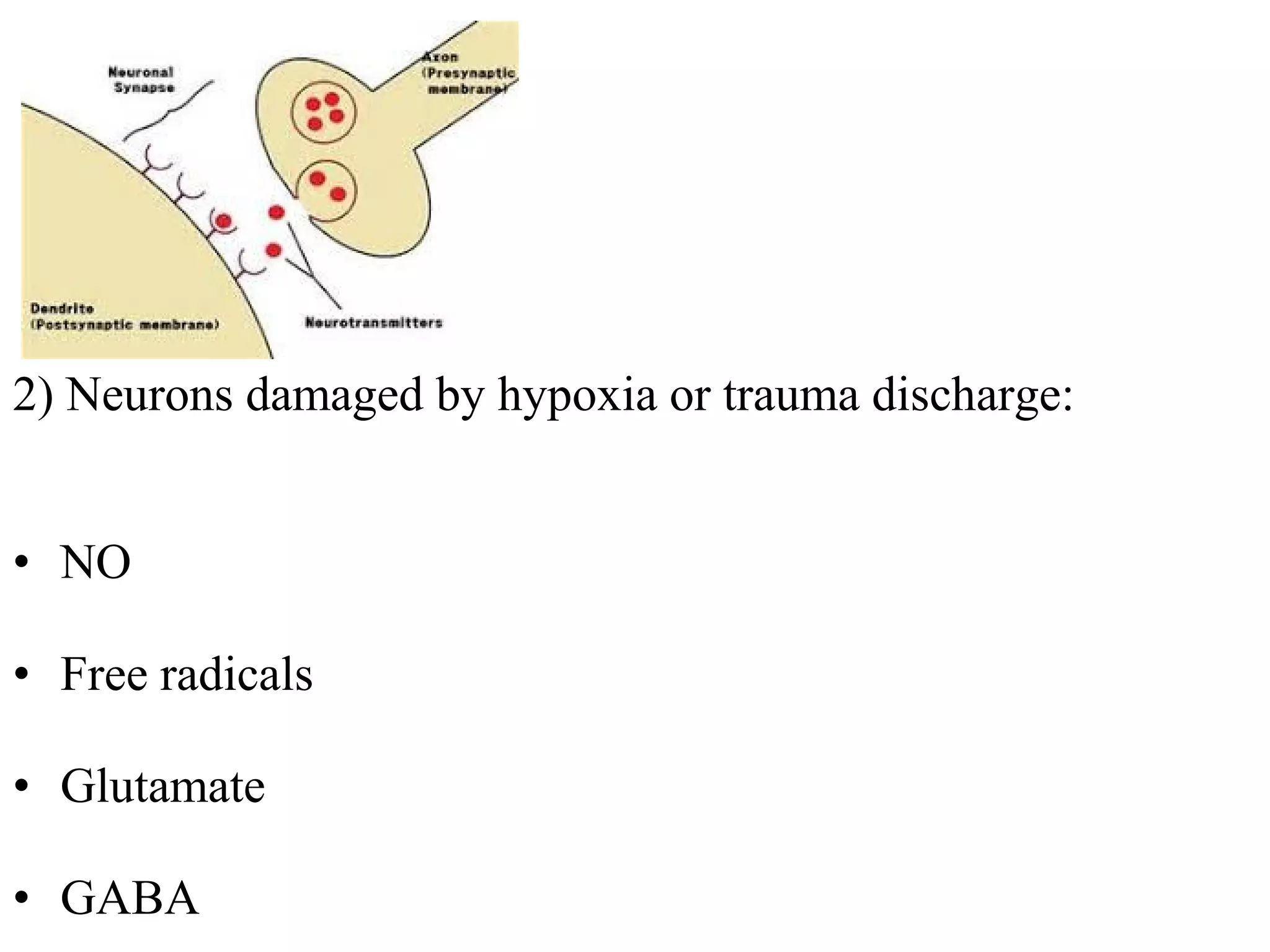 Stroke Quiz | PPT | Brain and Nervous System Disorders | Diseases and ...