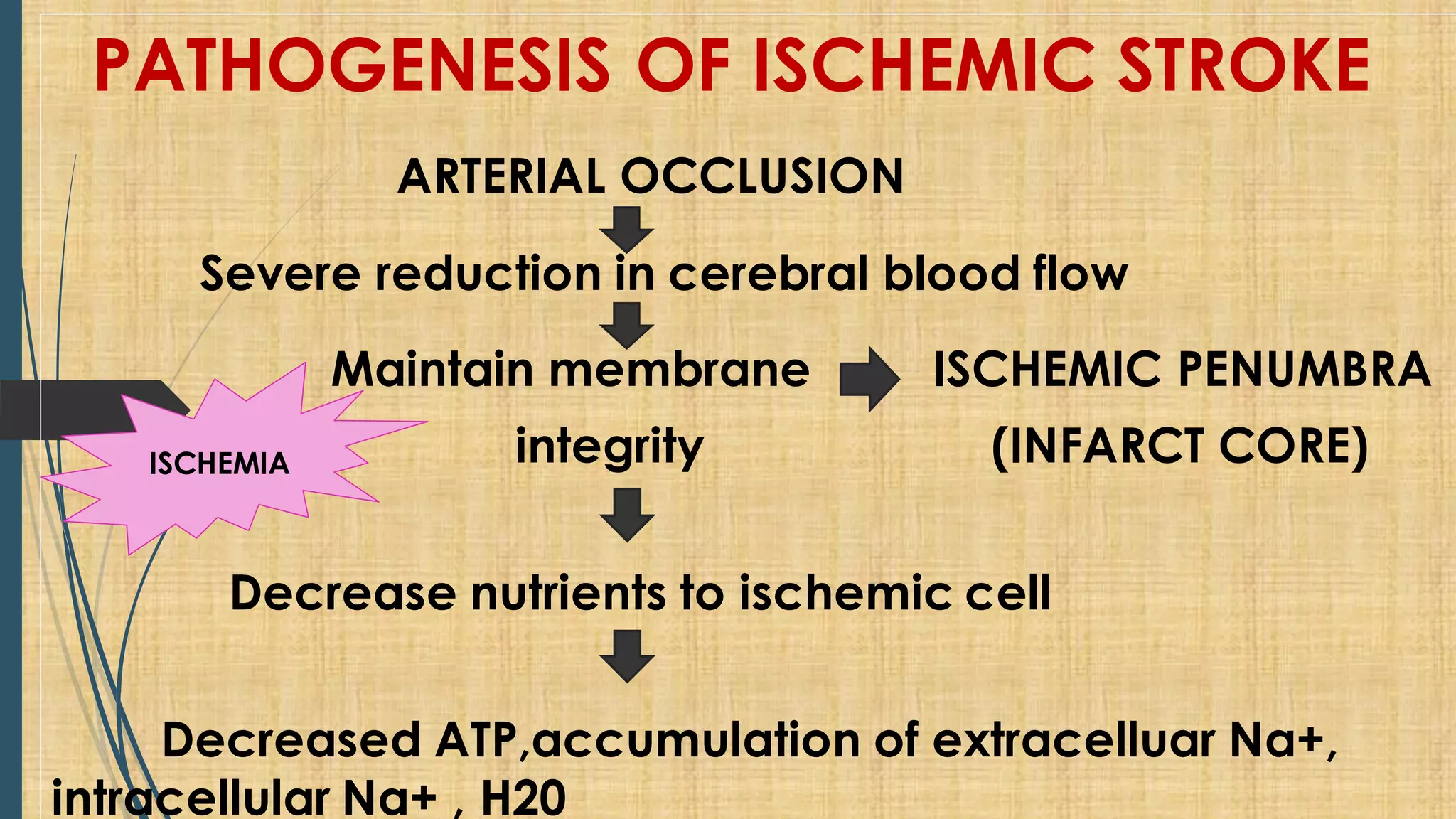 Stroke | PDF | Blood Disorders | Diseases and Conditions