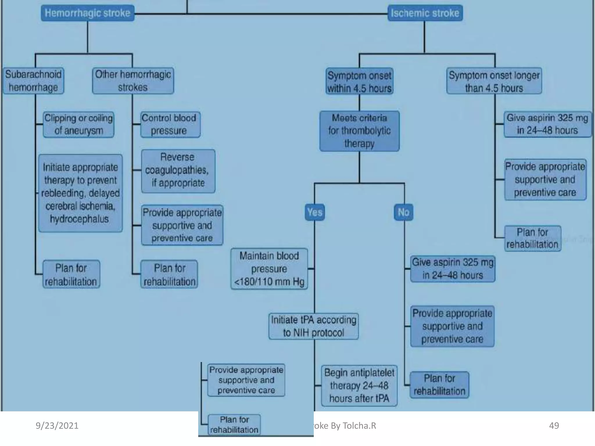 Pharmacotherapy of Stroke | PPTX
