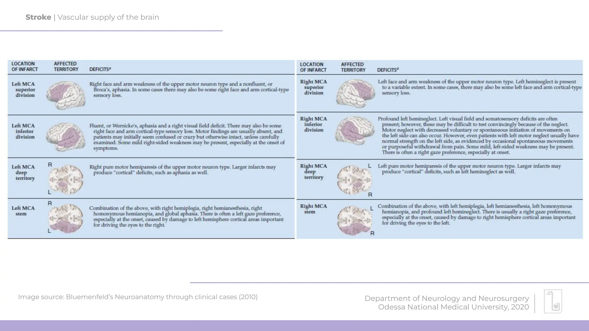 Stroke of different types.Hemorrhagic,Ischemic | PDF