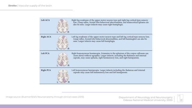 Stroke of different types.Hemorrhagic,Ischemic | PPT