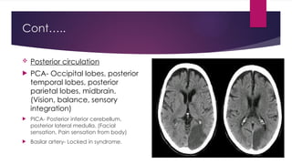 Stroke and stroke syndrome for physiotherapy.pptx