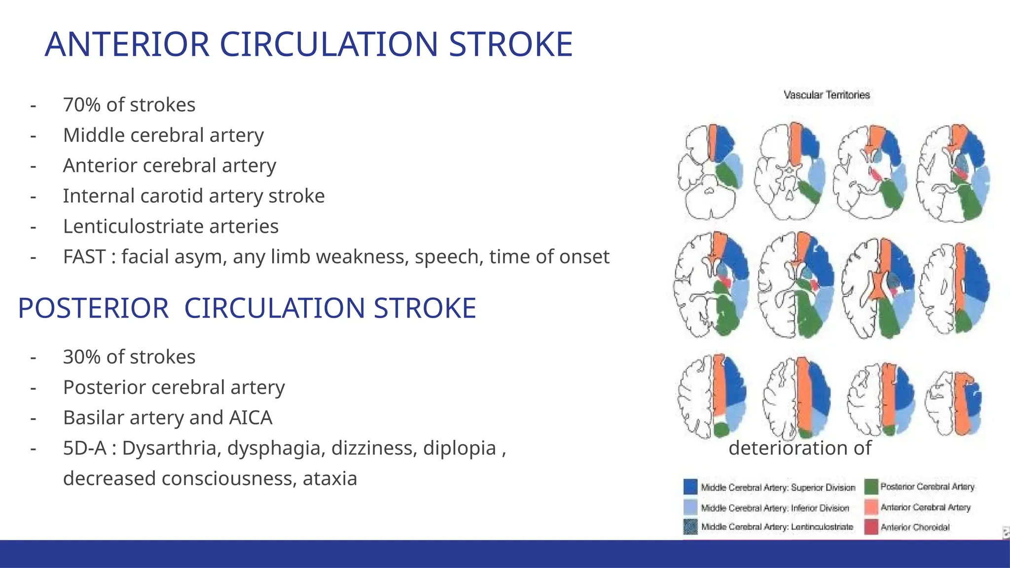 STROKE BY DR. NITHA THOMAS 2024 .pptx