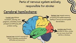 Troke, causes, parts of brain affected.pdf