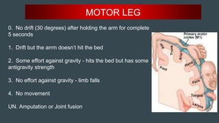 Stroke a clinical talk | PPT
