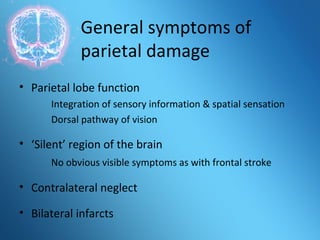Parietal Lobe Stroke: Signs, Symptoms, And Complications, 48% OFF