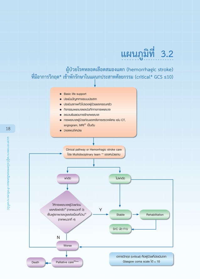 Clinical Nursing Practice Guideline for Stroke 2012 | PDF