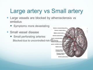 stroke-syndromes.pdf