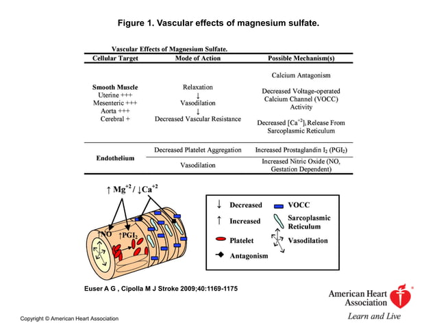 MgSO4 | PDF | Chemistry | Science