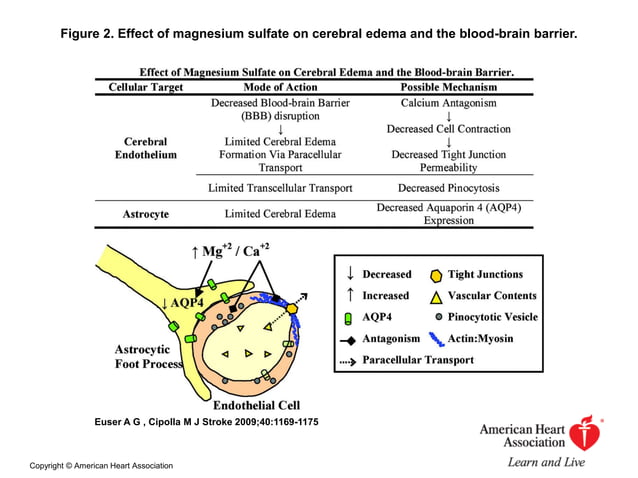 MgSO4 | PDF | Chemistry | Science
