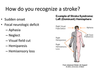 Stroke by Mwebaza Victor | PPT | Heart and Cardiovascular Diseases ...