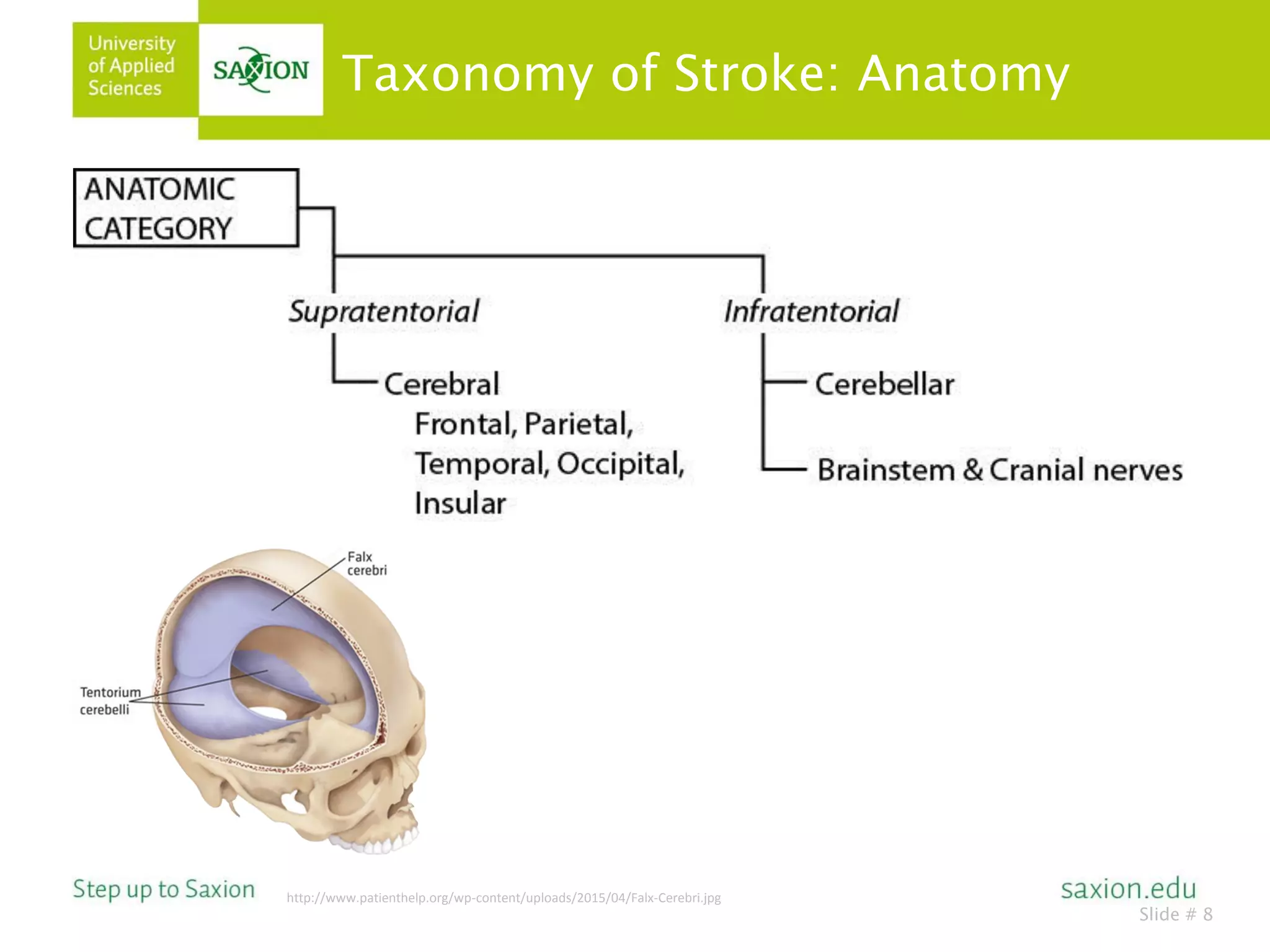Stroke rehabilitation in a biopsychosocial context | PDF