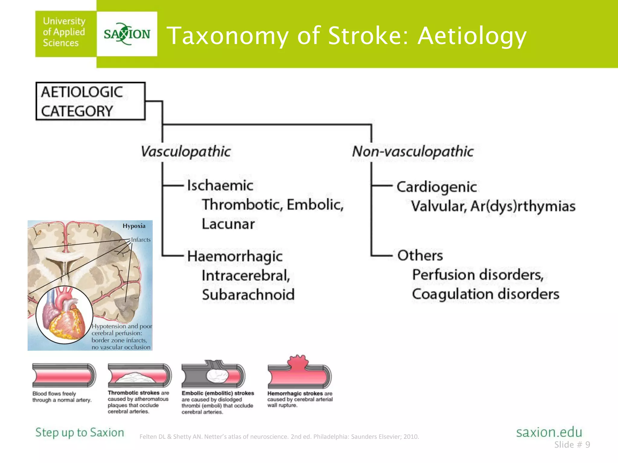 Stroke rehabilitation in a biopsychosocial context | PDF