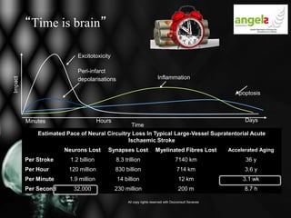 Stroke Education | PDF