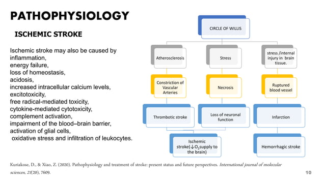 Stroke : Introduction, types and treatment. | PPTX