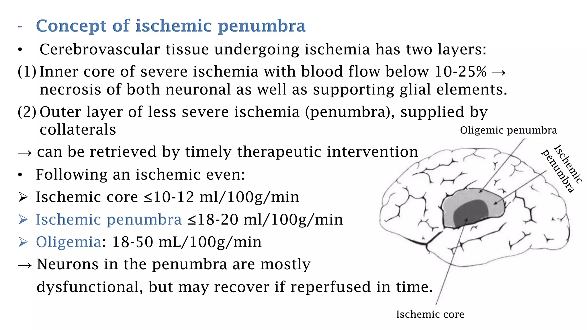 Stroke - Cerebrovascular Accident (CVA) | PDF