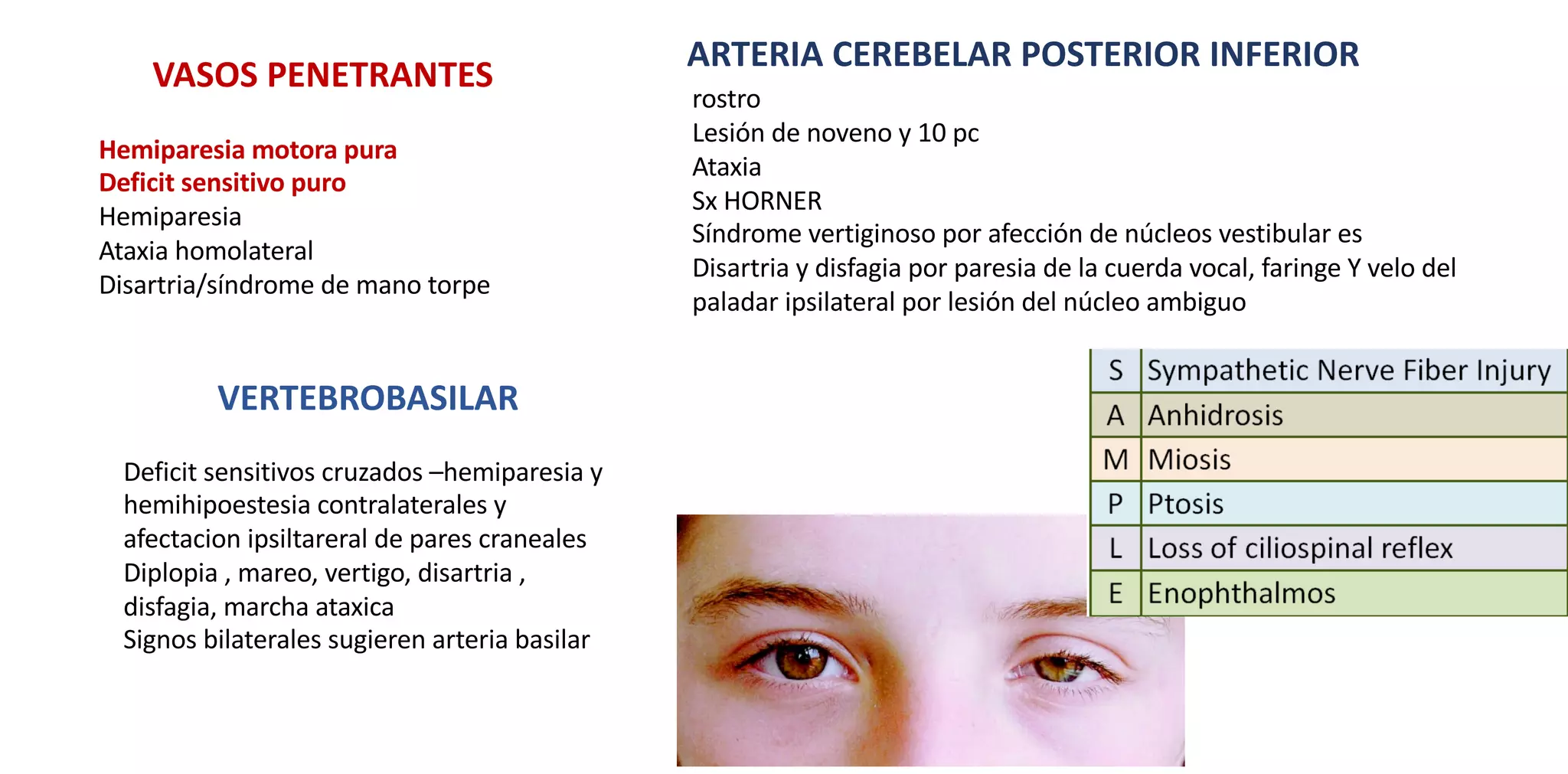 STROKE ENFERMEDAD CEREBROVASCULAR | PDF