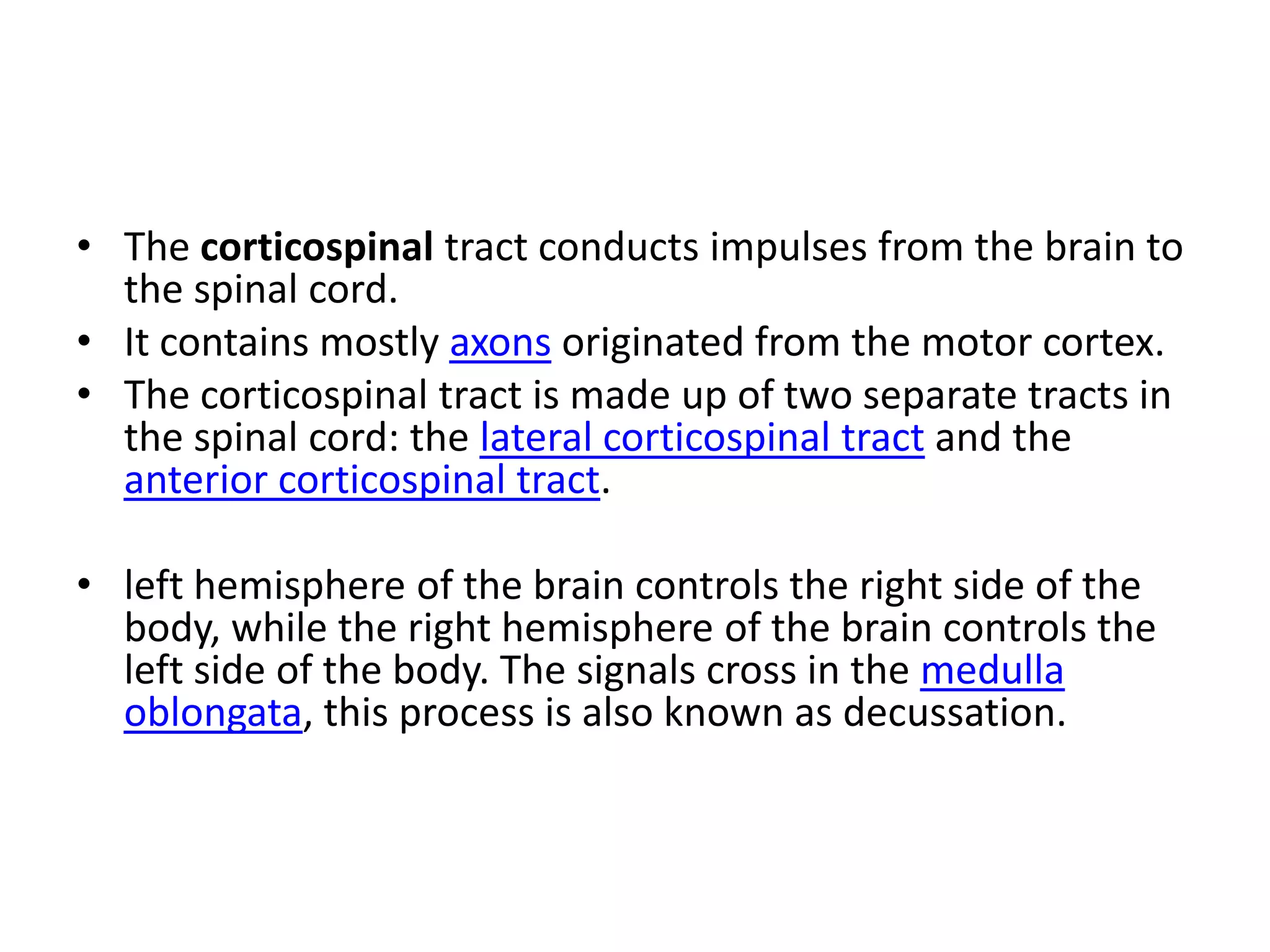 Stroke localization | PPTX
