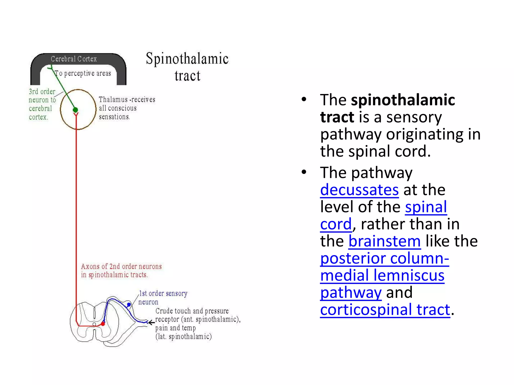 Stroke localization | PPTX