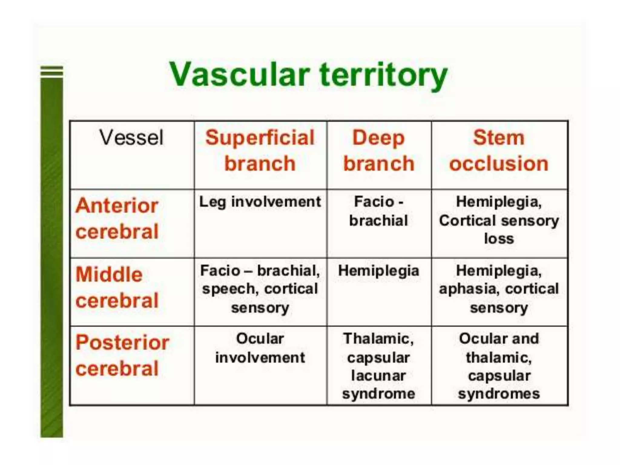Stroke localization | PPTX