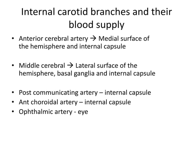 Stroke localization | PPTX | Blood Disorders | Diseases and Conditions