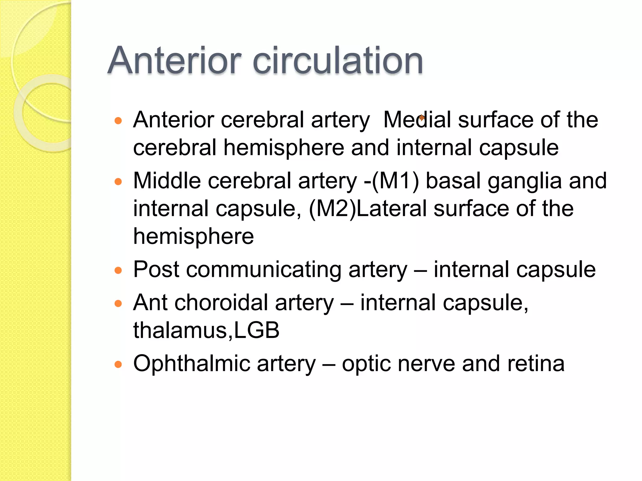 Stroke localization by Dr. Md. firoz | PPTX