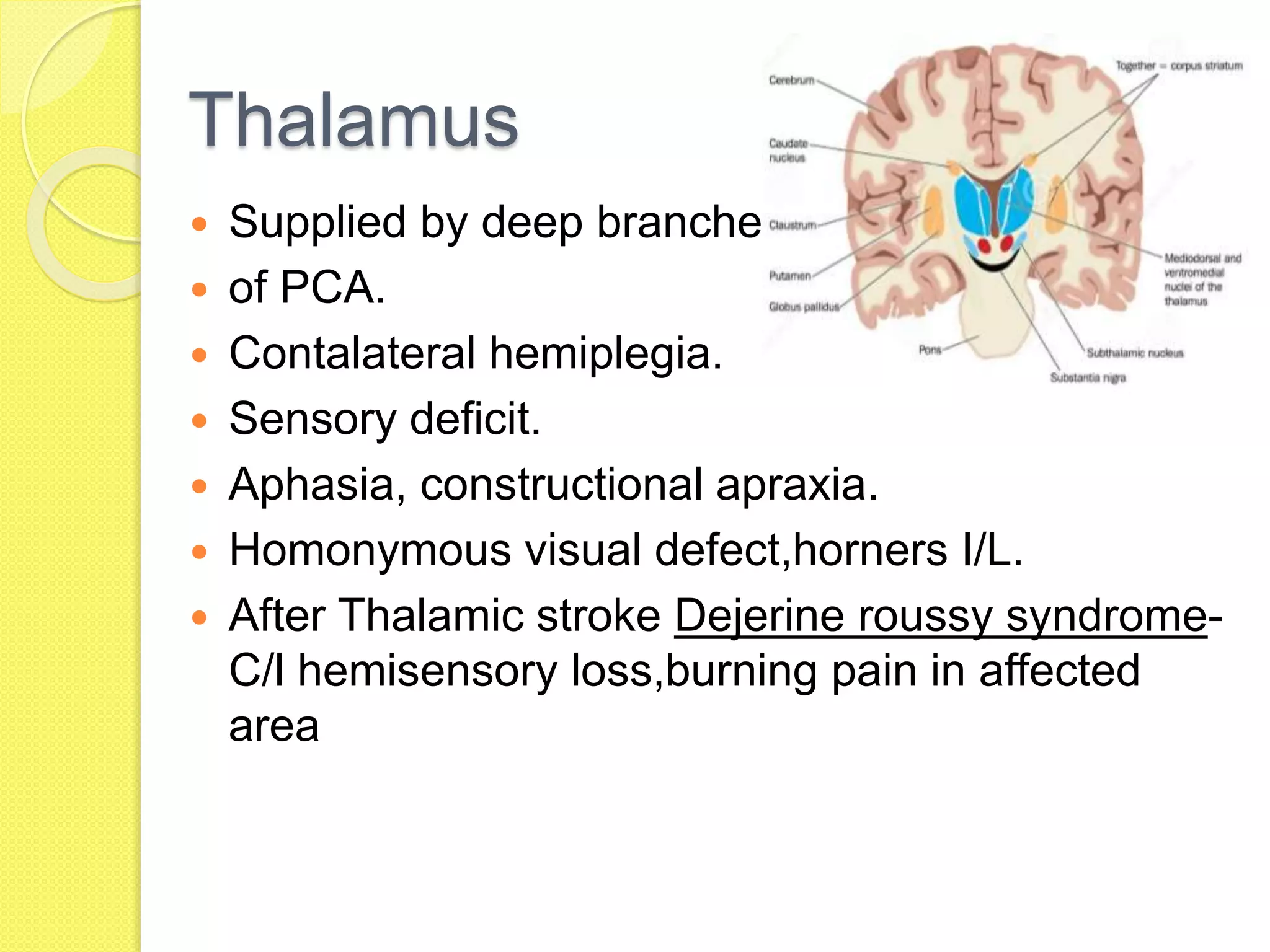 Stroke localization by Dr. Md. firoz | PPTX