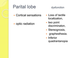 Stroke localization by Dr. Md. firoz | PPTX
