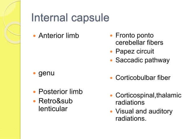 Stroke localization by Dr. Md. firoz | PPTX | Brain and Nervous System ...