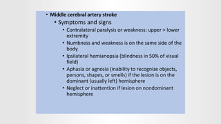 Cerebrovascular stroke overview. | PPTX