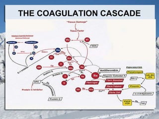 THE LATEST IN STROKE MANAGEMENT, ACUTE AND PREVENTIVE By Arlyn Valencia ...