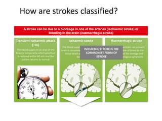 Stroke power point presentation copy.pptx