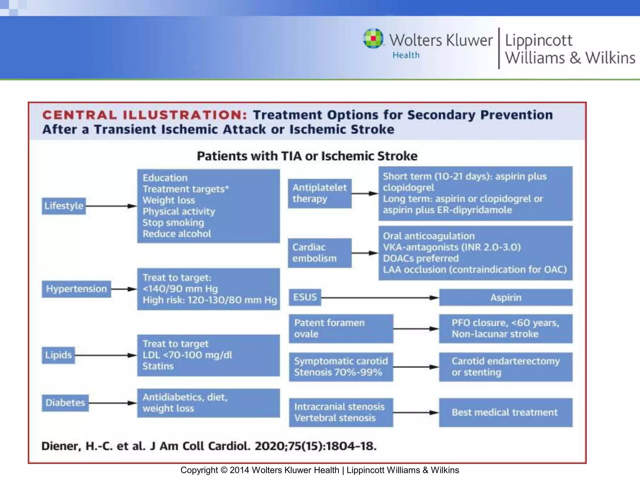 stroke presentation.ppt