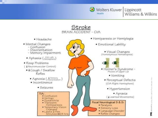 stroke presentation.ppt | Brain and Nervous System Disorders | Diseases ...