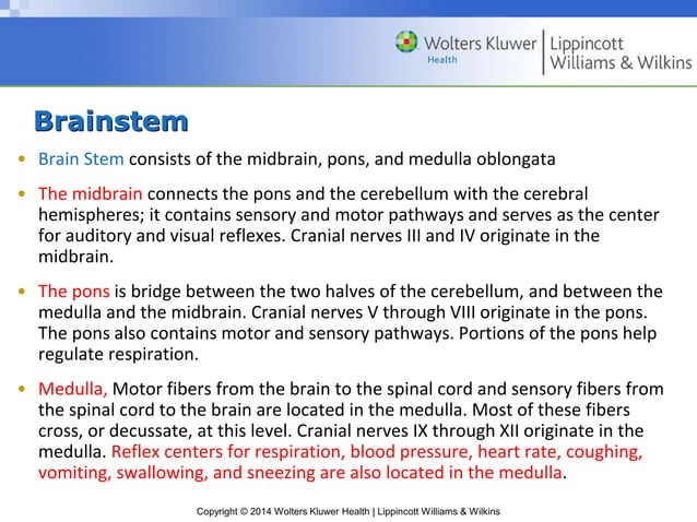 stroke presentation.ppt | Brain and Nervous System Disorders | Diseases ...