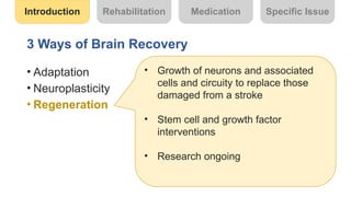 Stroke rehabilitation - a review from continuum neurology | PPTX