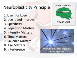 Practical Guidelines in Stroke Rehabilitation | PPTX