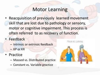 Practical Guidelines in Stroke Rehabilitation | PPTX