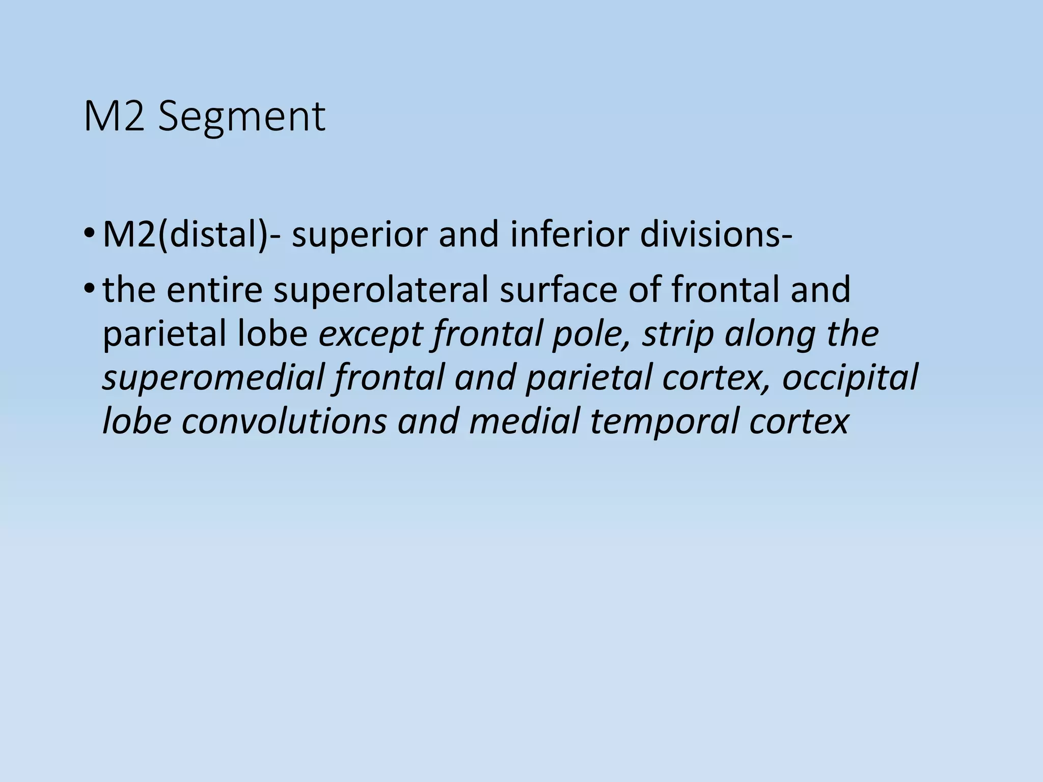 Stroke syndromes | PPTX